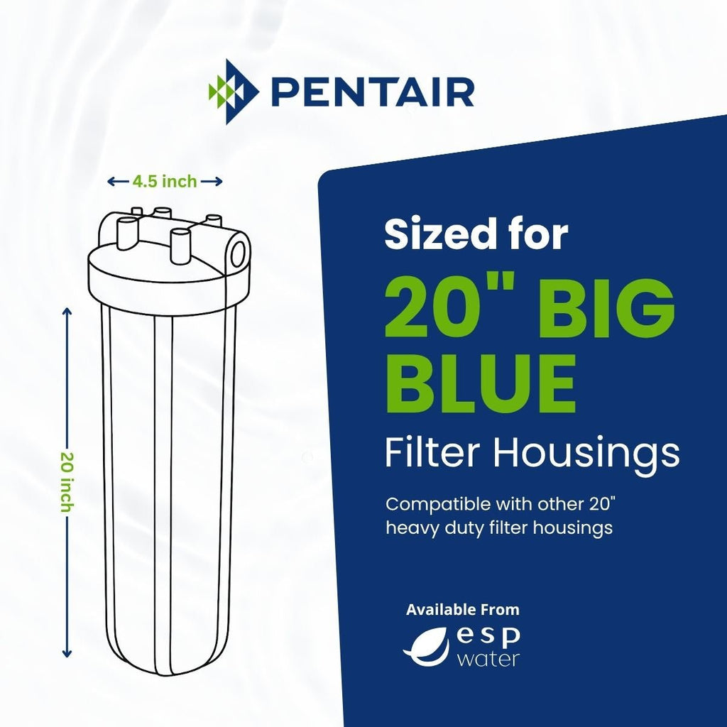 Pentair 20" Big Blue Housing with Pressure Release – ESP Water