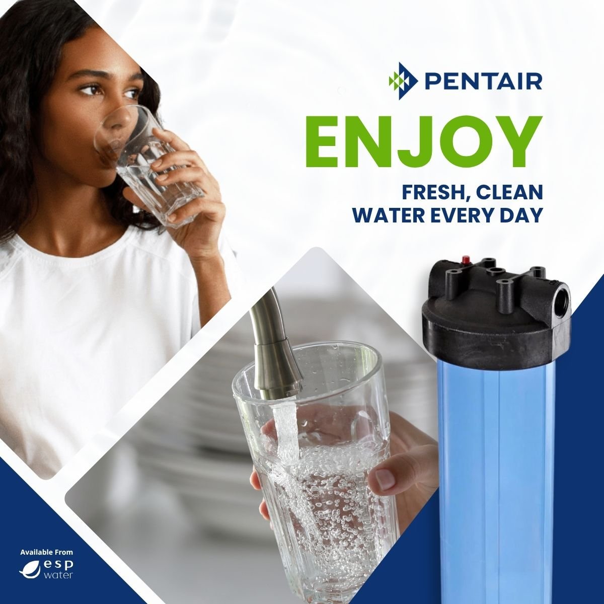 Pentair 20" Big Blue Housing with Pressure Release – ESP Water