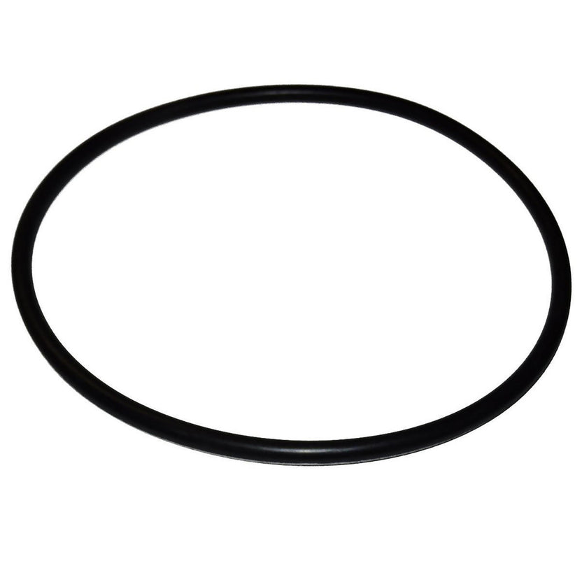 Pentair O-Ring for Big Blue Filter Housing (151122) – ESP Water