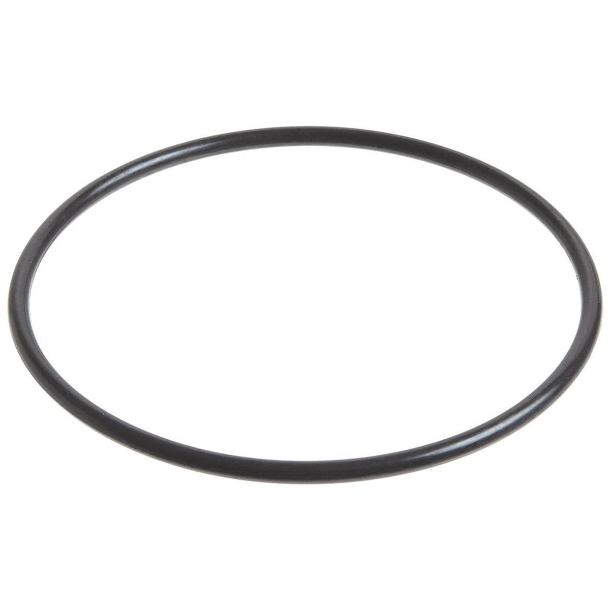 VIQUA OR40-50W O-ring for AWP Housing 4.5"x20" and 4.5"x10" – ESP Water